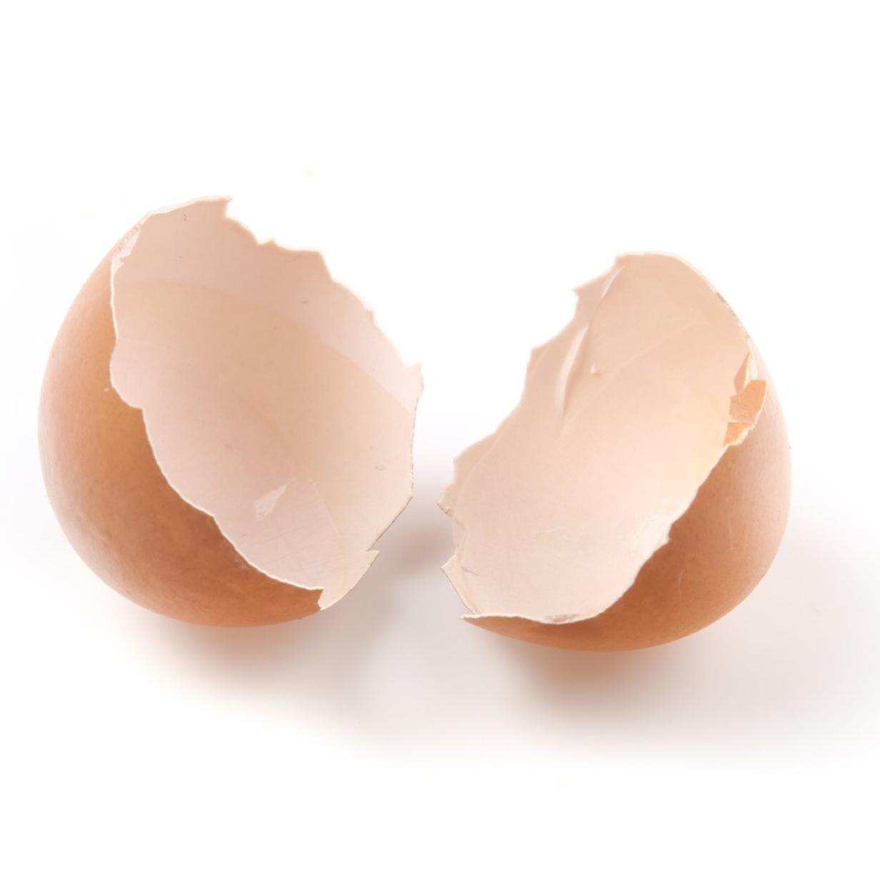 Warum sich Eierschalen gut als Pflanzendünger machen