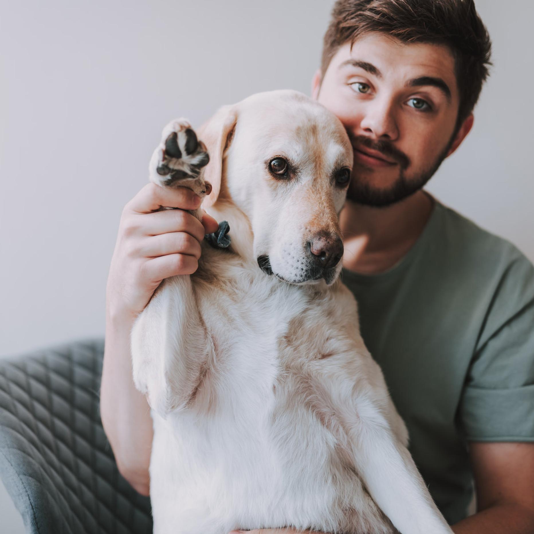 Sprechende Hunde: Können die Vierbeiner über Sprechbuttons kommunizieren?